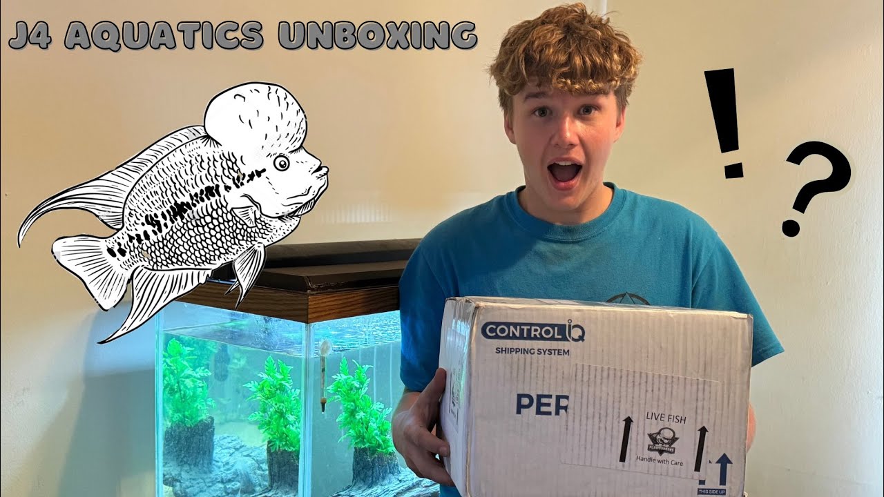 J4 AQUATICS FISH UNBOXING - YouTube