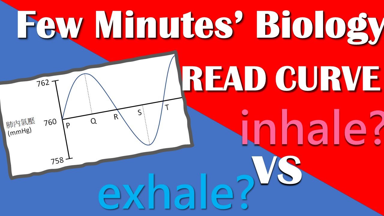 HKDSE BIOLOGY | Few Minutes' Biology series | How to Read a Breathing ...