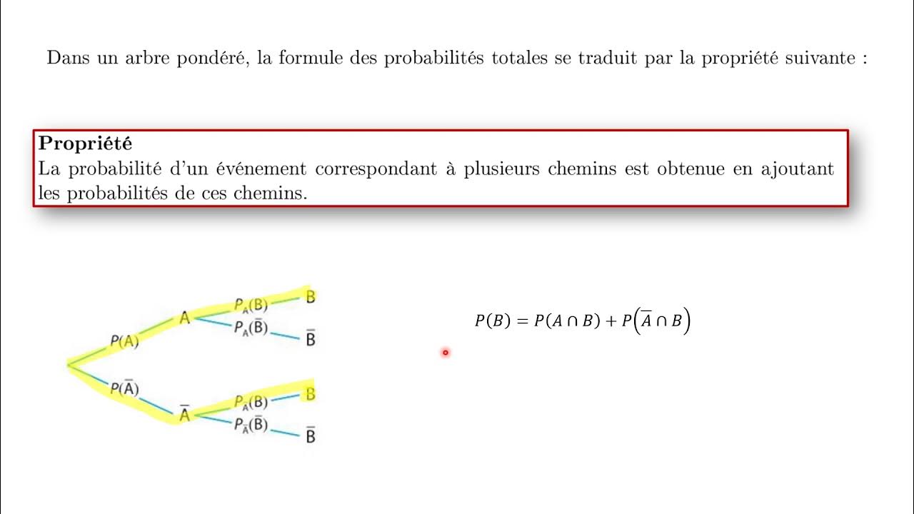 Formule des probabilités totales - YouTube