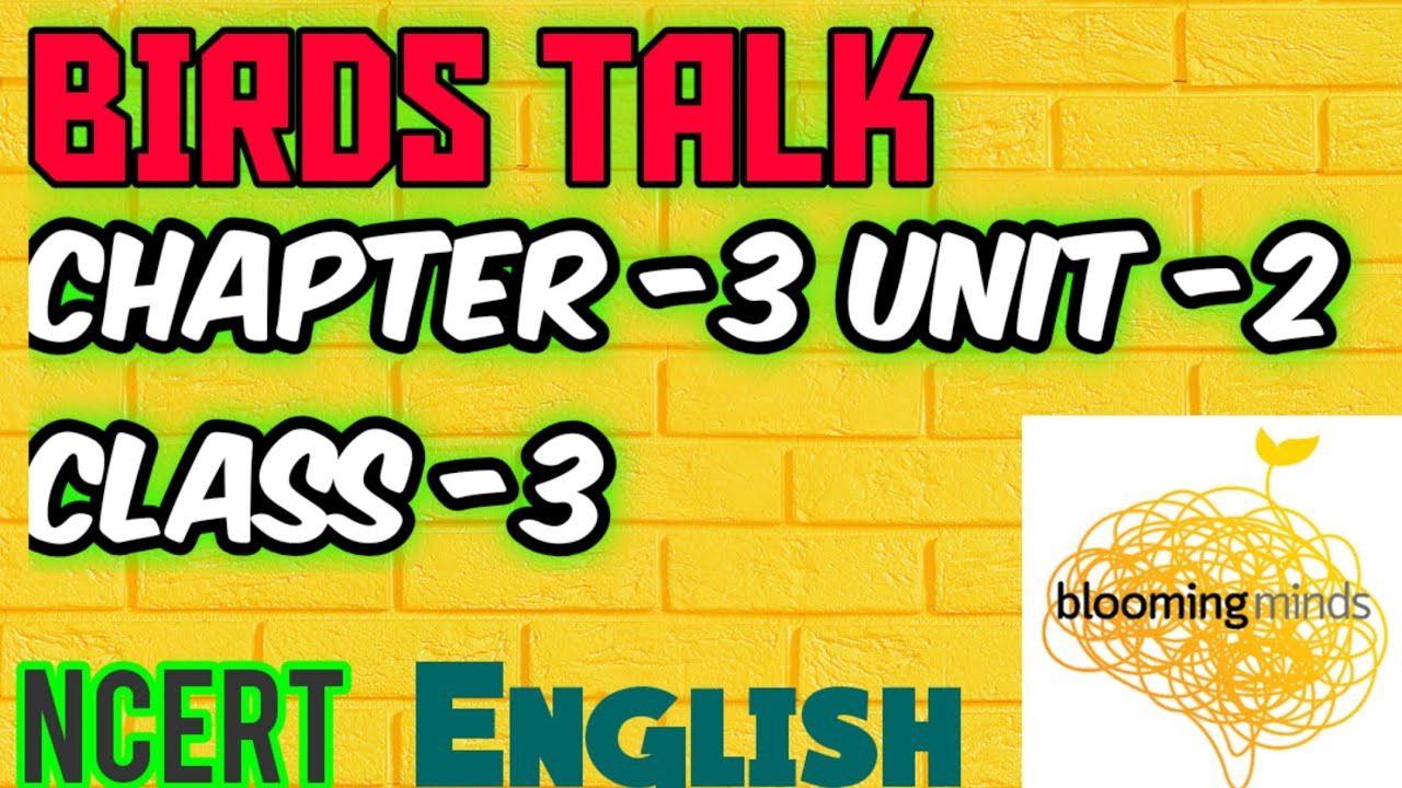 BIRDS TALK / Chapter 3 / unit 2 / Class 3 / NCERT / English - YouTube