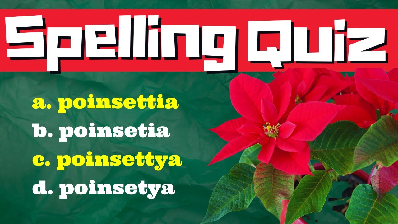 🎄Christmas SPELLING QUIZ!🎄 Do you know the correct spelling of these 12 ...