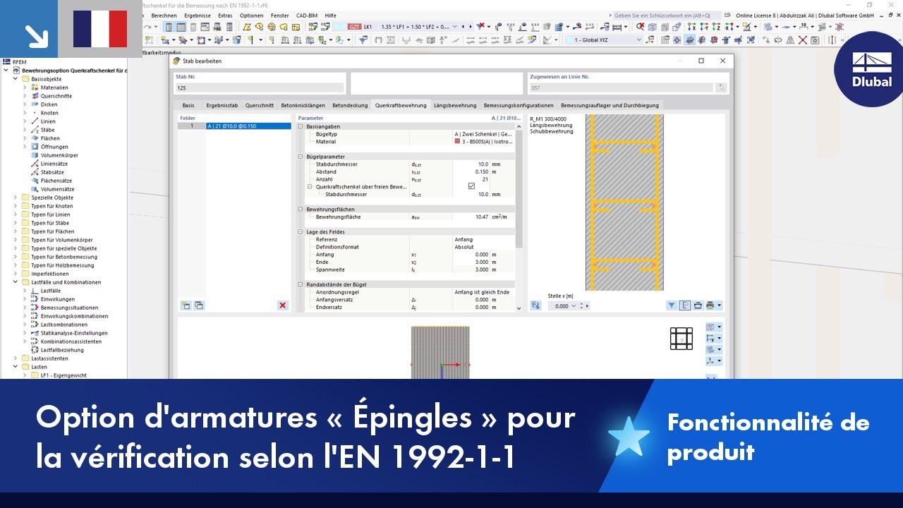 Option d'armatures « Épingles » pour la vérification selon l'EN 1992-1 ...
