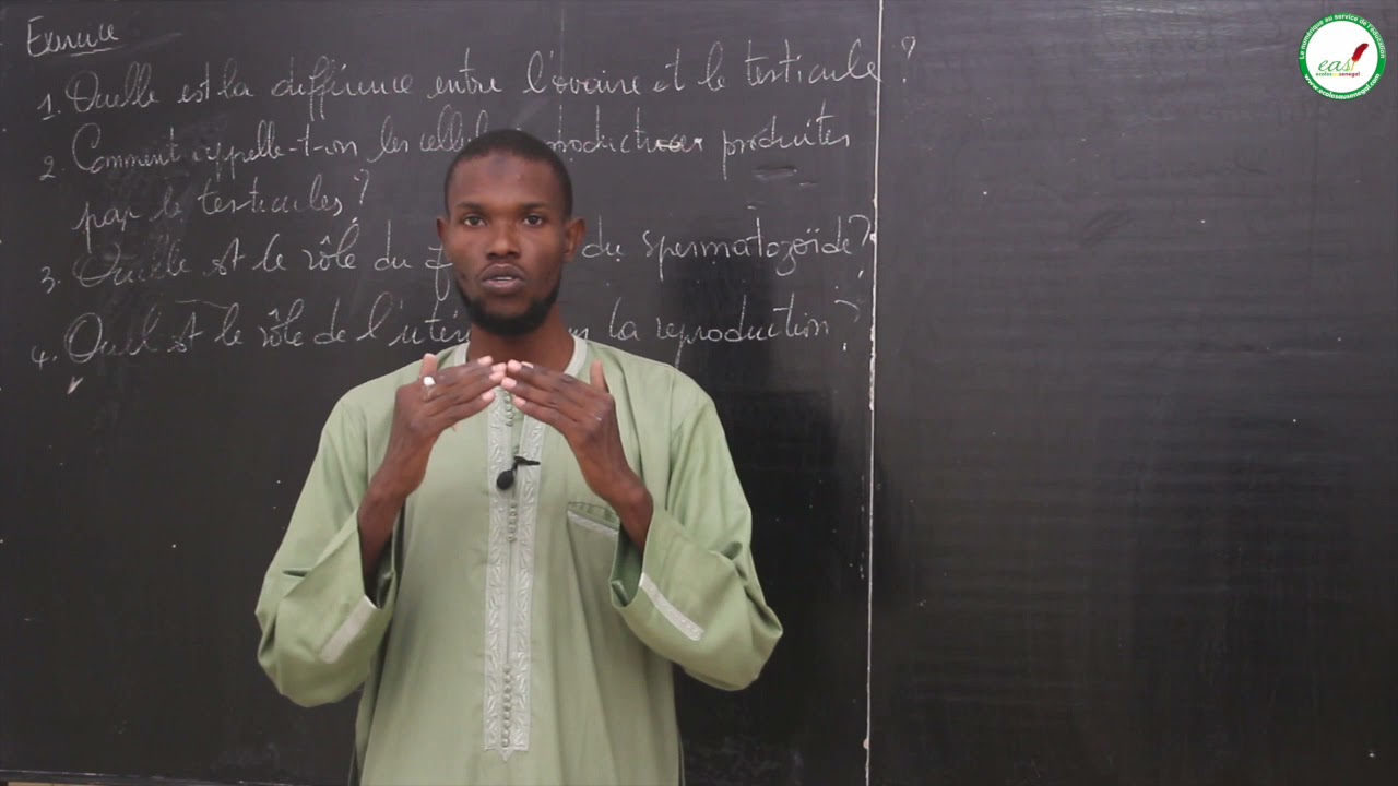 Exercices - Quatrième - SVT : La puberté et le rôle des organes ...