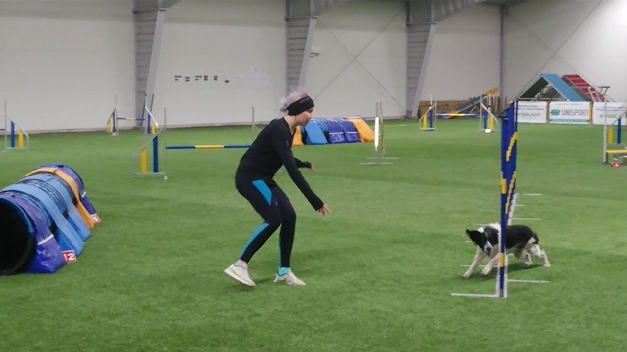 World Agility Open Tryouts 2019 - YouTube