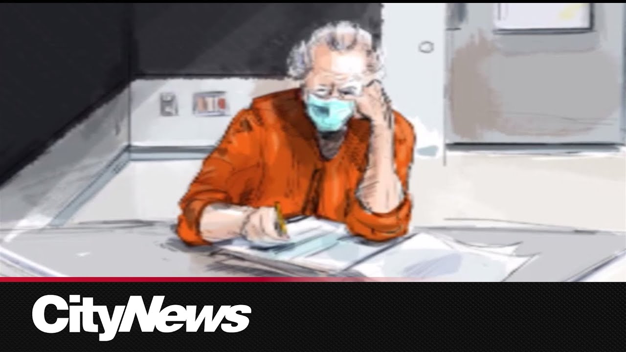 Former Canadian fashion mogul Peter Nygard sentenced to 11 years in ...