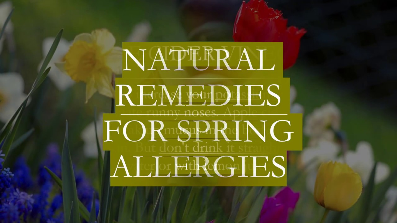 HOME REMEDIES FOR SPRING ALLERGIES - YouTube