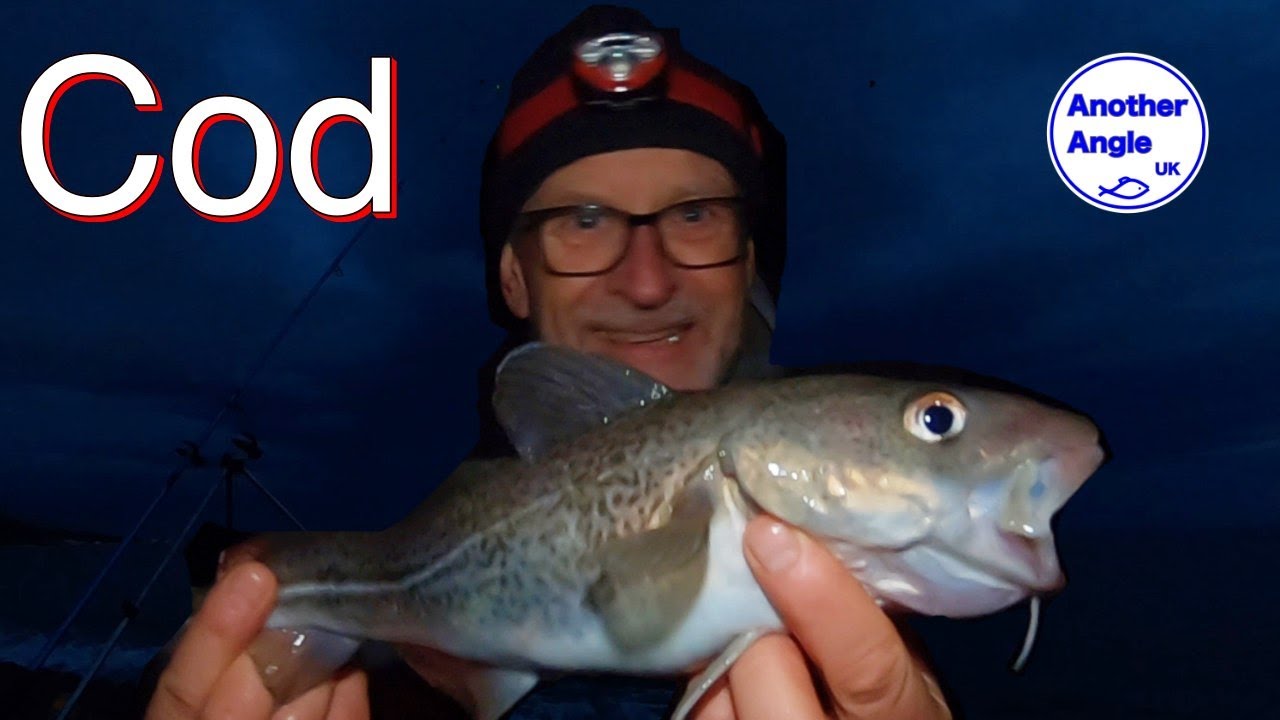 Bait Fishing for Cod : Target Achieved : Night Fishing : North East ...