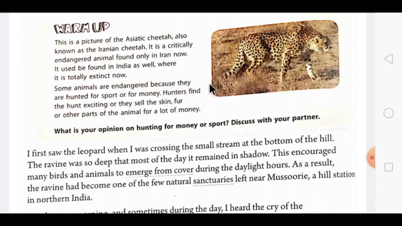 STD 8 ENGLISH CH 4 THE LEOPARD EXPLAIN PART 1 - YouTube