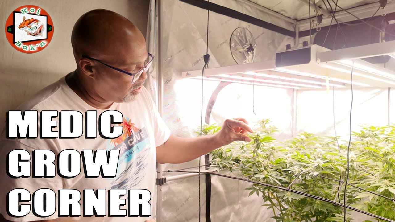 How to Install Drip Emitters | Medic Grow Smart-8 Tent - YouTube