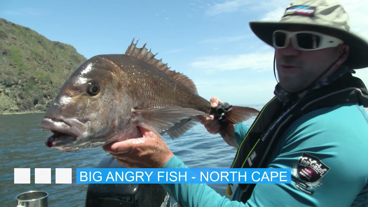 Big Angry Fish - North Cape - YouTube