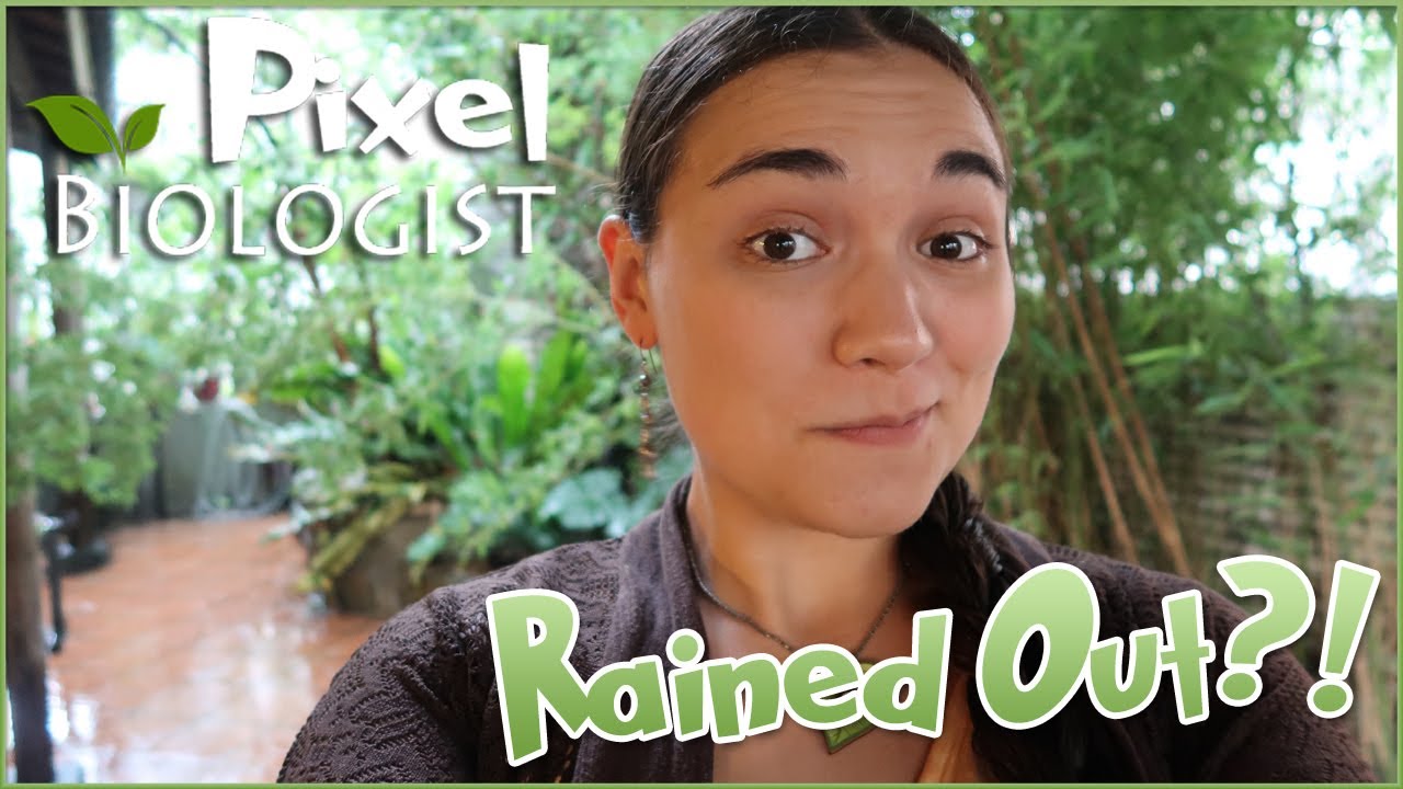 Rained Out?! Summer Event Delays! 🌿 Pixel Biology Updates - YouTube