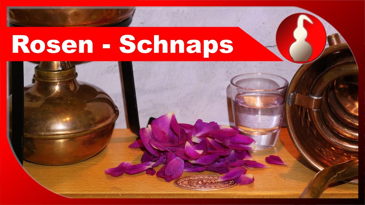 Rosen-Schnaps - Rosenblüten destillieren - Schnaps selber brennen ...