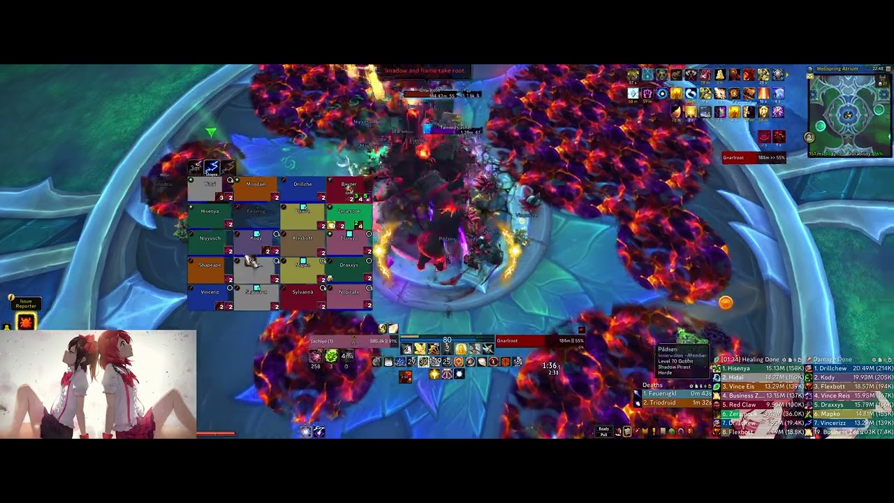 Amidrassil, the Dreams Hope: Gnarlroot HC Kill Holy Pala - YouTube