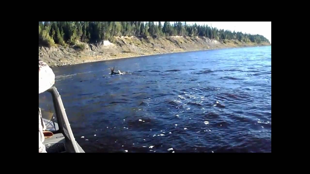 DAY TRIP ALBANY RIVER. - YouTube