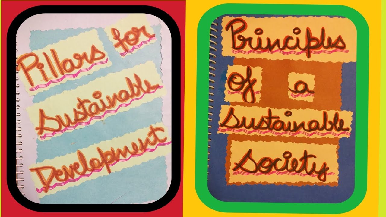 Economics project on sustainable development ||class 12 |file by shivam ...