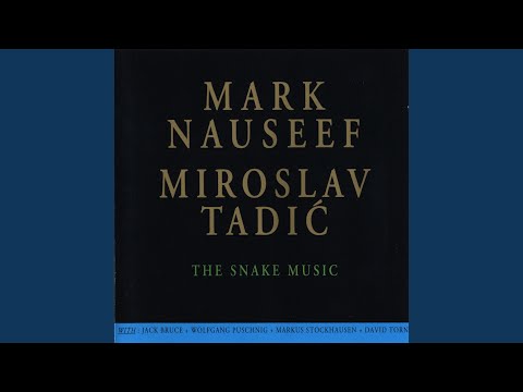 Mark Nauseef & Miroslav Tadić – The Snake Music – CD (Album, Stereo ...