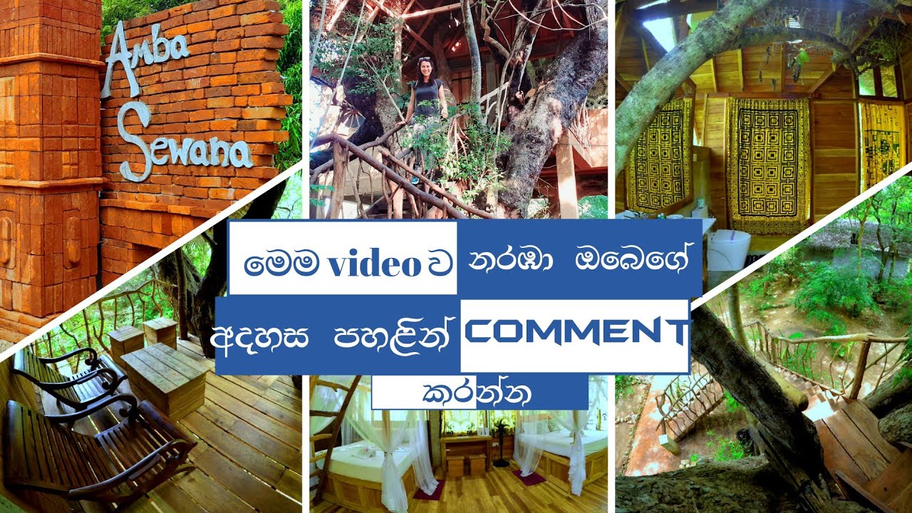 Habarana Tree House Ambasewana - YouTube