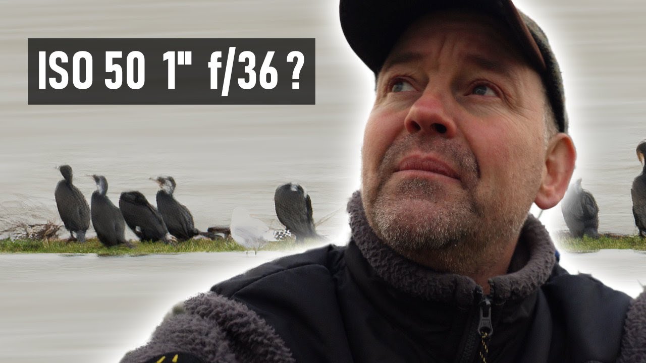 Long Exposure BIRD PHOTOGRAPHY | Wildlife Photography Vlog - YouTube