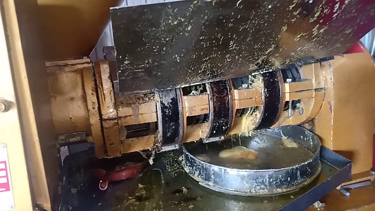 Oil mill 12/5/2019 - YouTube