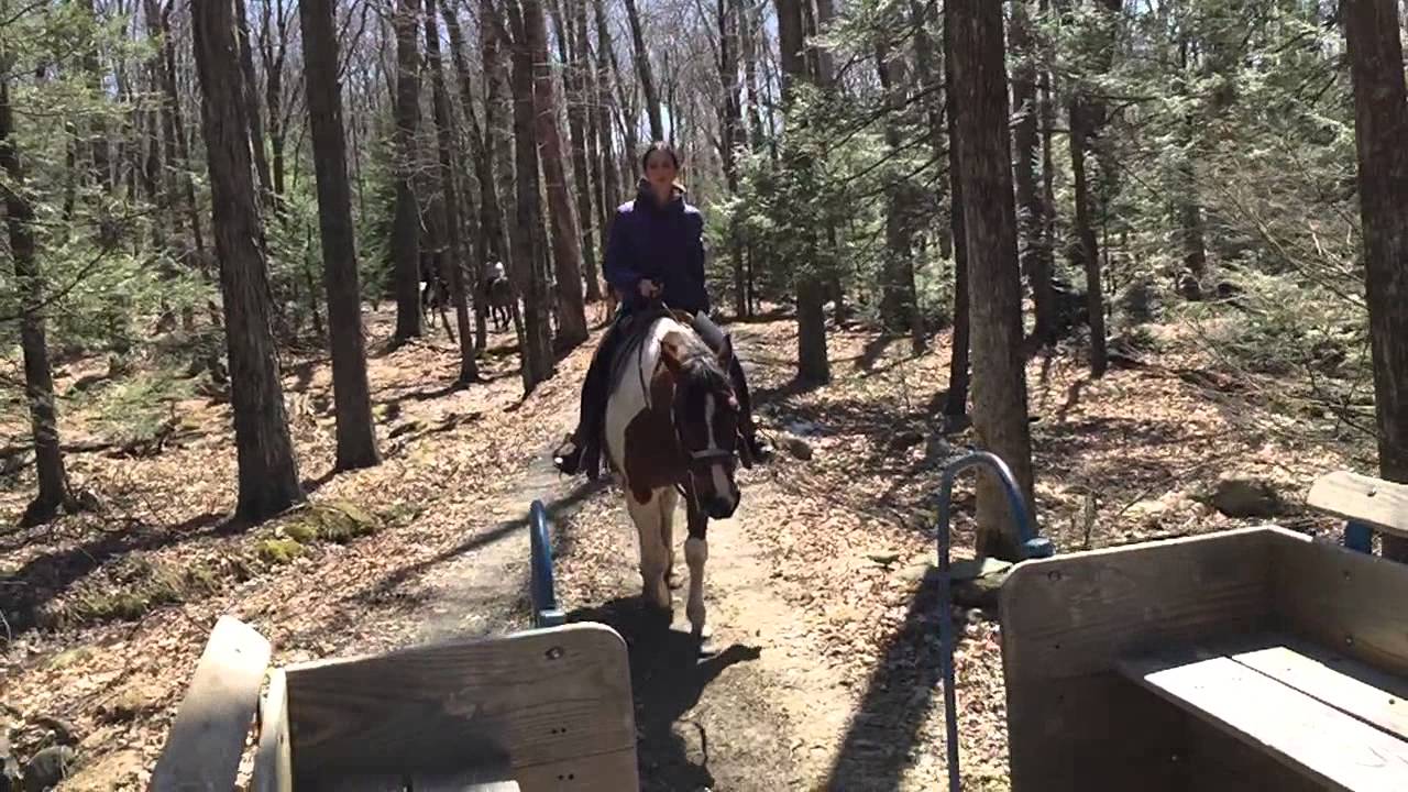 Julia Abelev: horseback riding in Pocono, Pennsylvania. Part 3 - YouTube