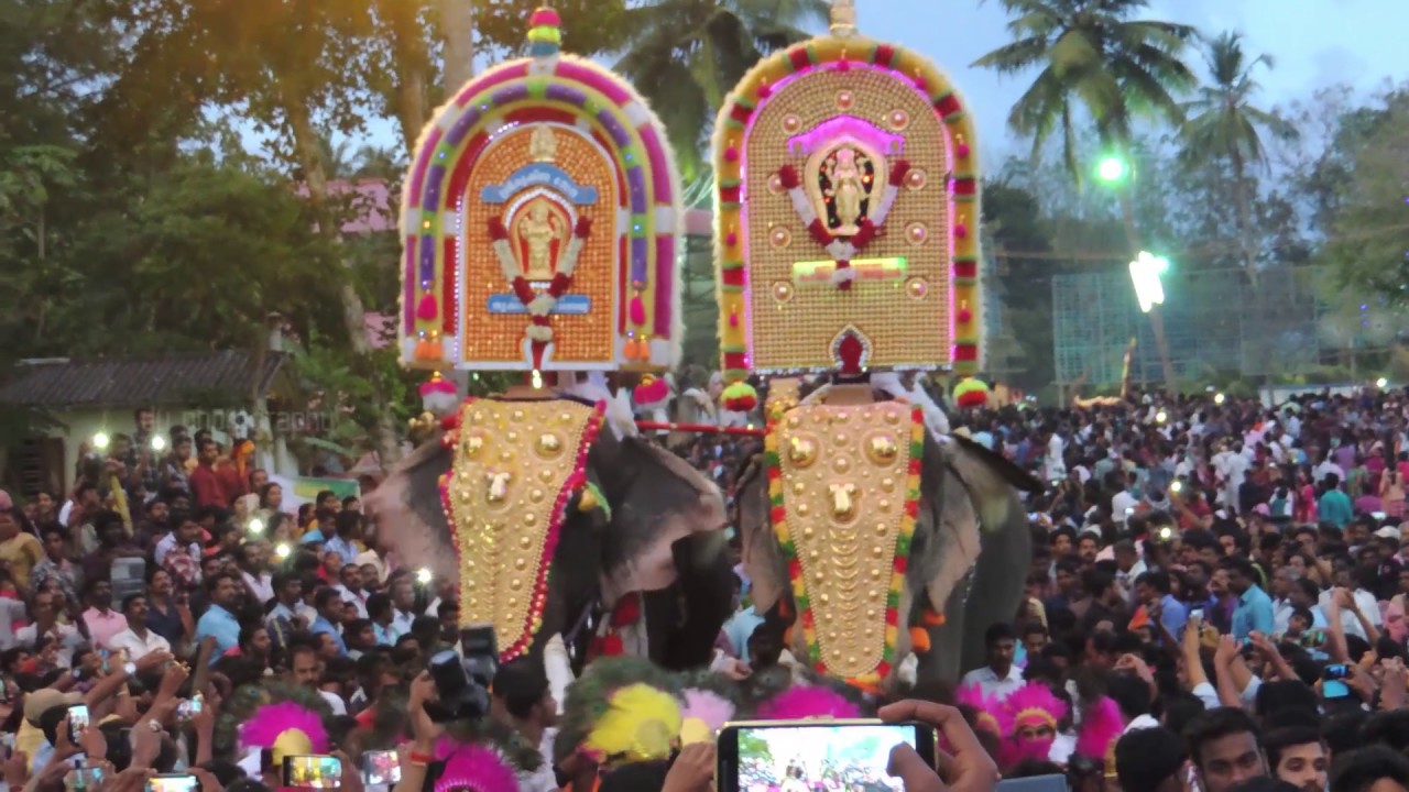Anayadi Gajamela 2017 (Anayadi Pooram 2017) - YouTube