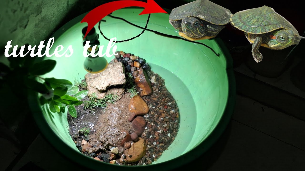 I setup a tub for turtles| how to setup a tub for turtles - YouTube