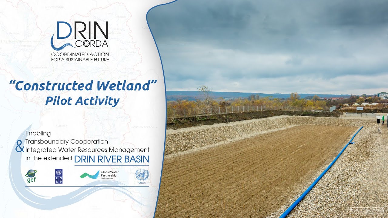 Drin #2: Constructed Wetland Pilot Activity - a solution to sewage ...