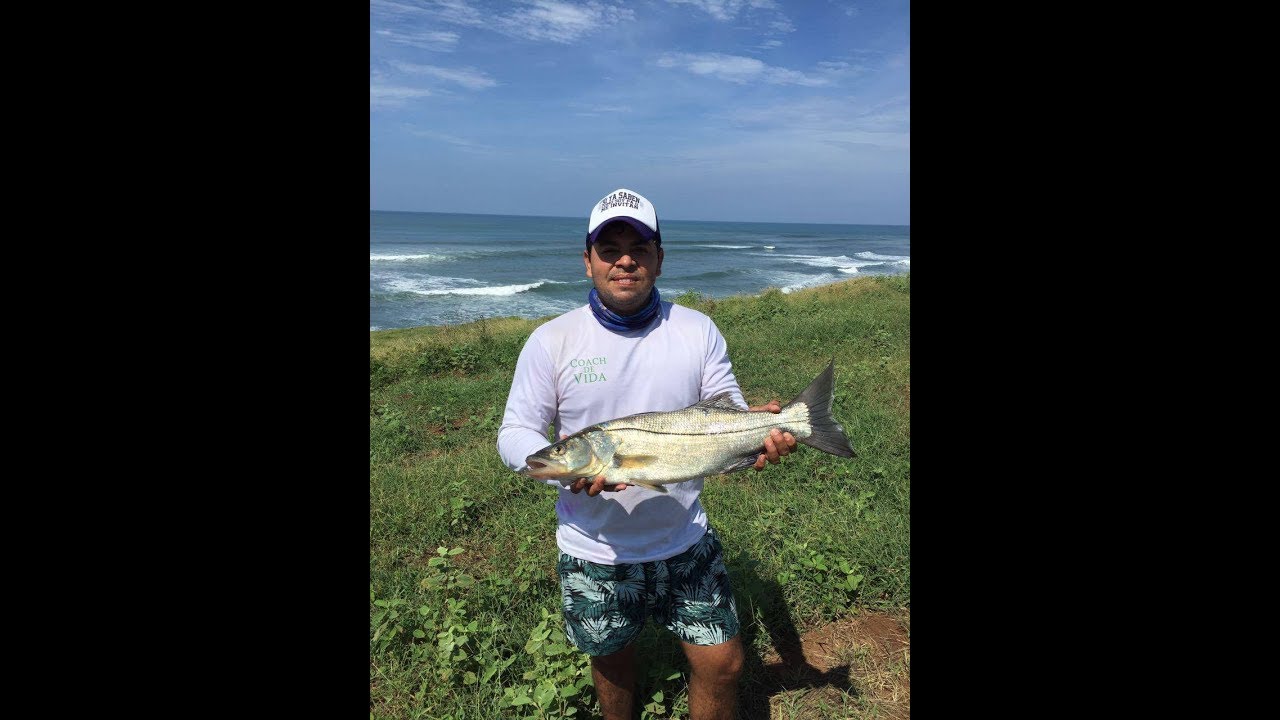 Pesca de robalo - YouTube