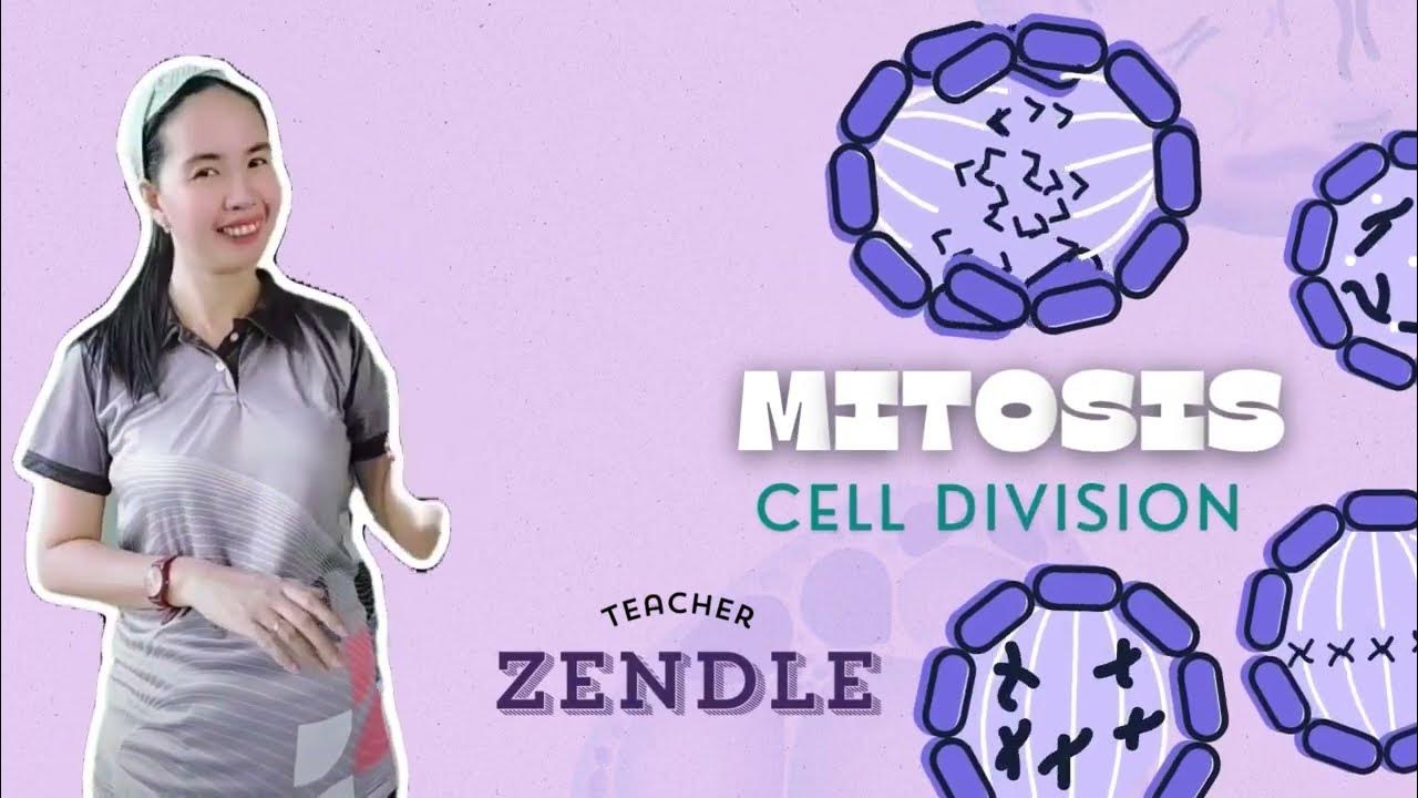 CHAMMPS EPISODE 6: MITOSIS - YouTube