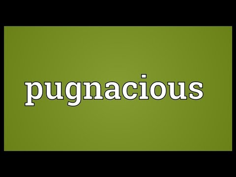 Pugnacious Meaning