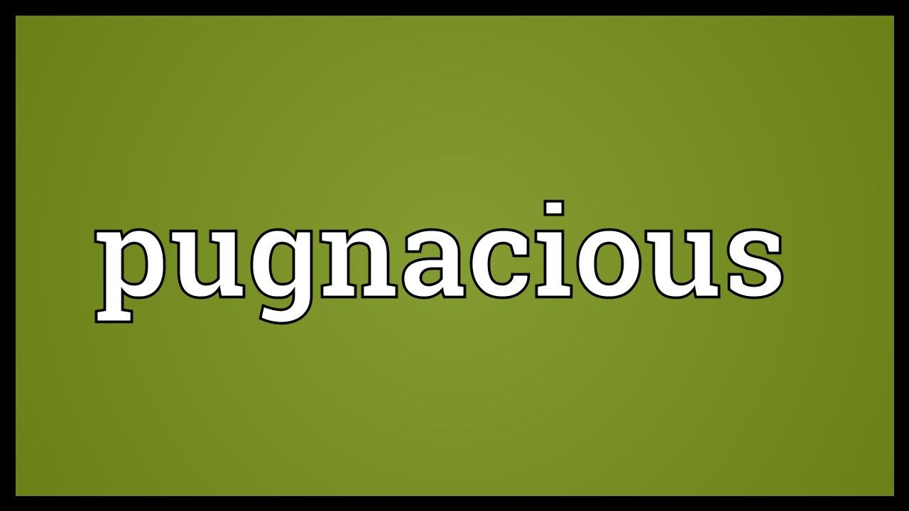 Pugnacious Meaning YouTube pugnacious-meaning-youtube