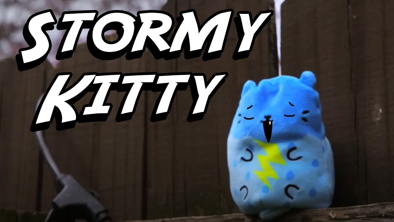 Meet Stormy Kitty! - YouTube