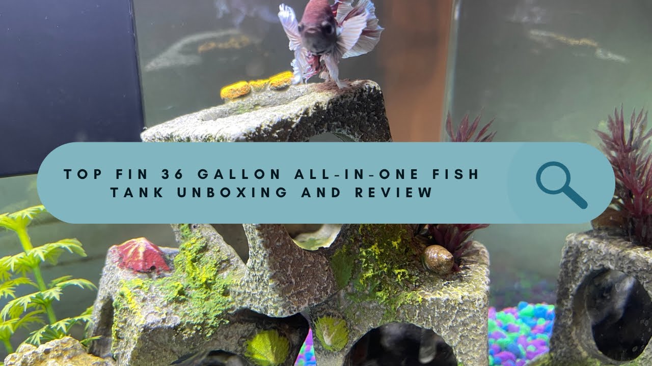Unboxing and review of the Top Fin 36 gallon all in one aquarium kit ...