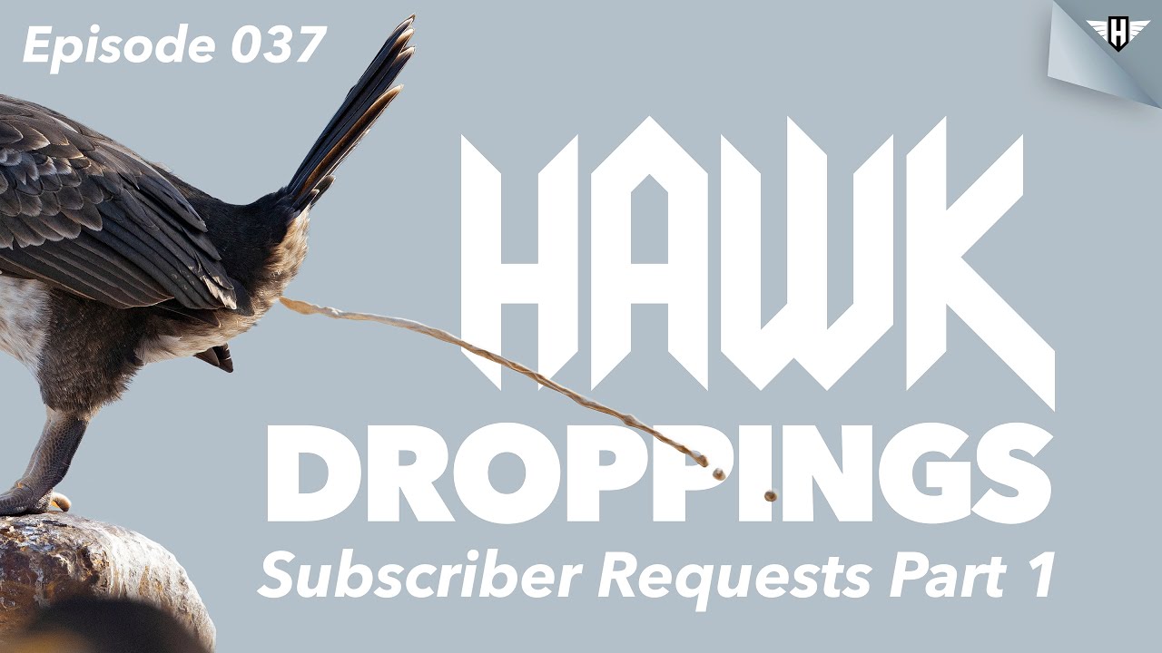 Hawk Droppings - Ep 37: Subscriber Requests Part 1 - YouTube
