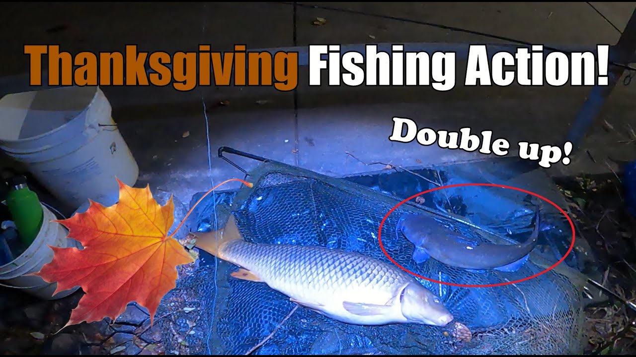Fishing During Thanksgiving Break, Quick Action! - Catfish & Carp ...