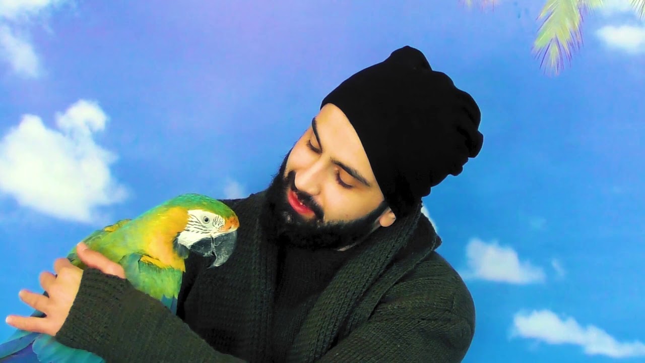 The sky of my heart (MOHAMMED ALI AND MOHAMMED TAGHI) - YouTube