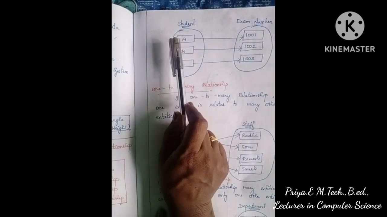 12th std Computer Science chapter 11 Database concepts(imp 5 mark) Relationship mapping - YouTube