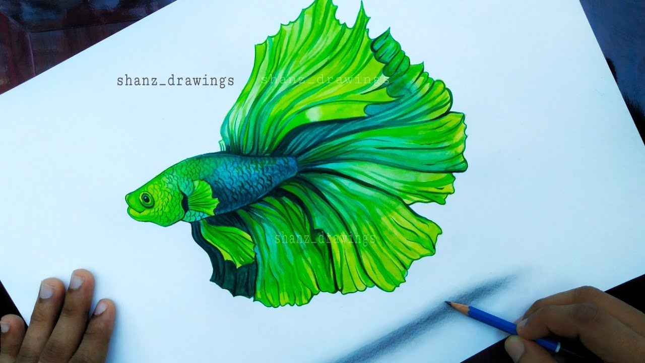 3D fish painting | gold fish painting | watercolour fish - YouTube
