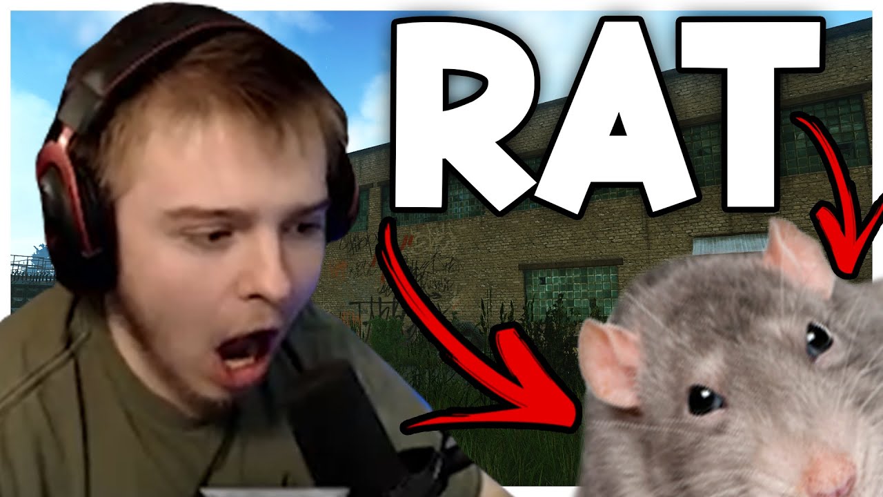 I ran into the BIGGEST RAT in Escape from Tarkov... | Stream Highlights ...