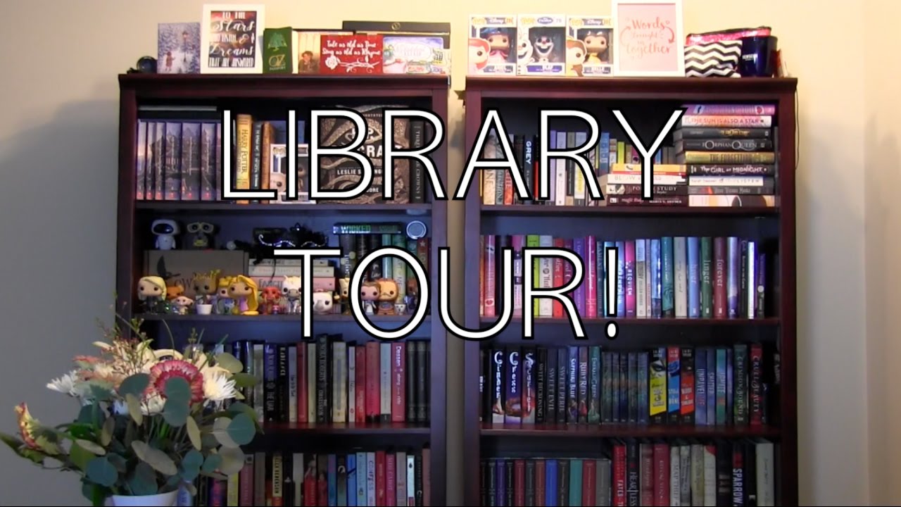LIBRARY TOUR!! - YouTube