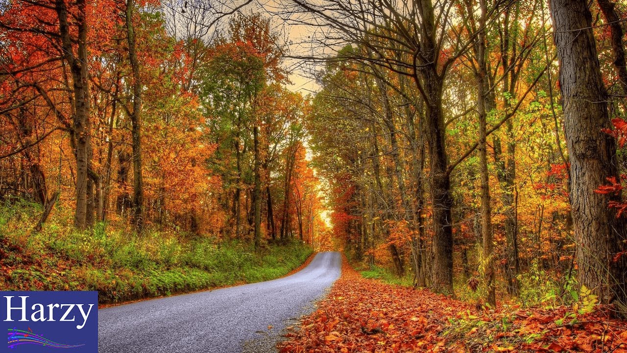 Tobu - Floating (Instrumental) [1 Hour Version] - YouTube