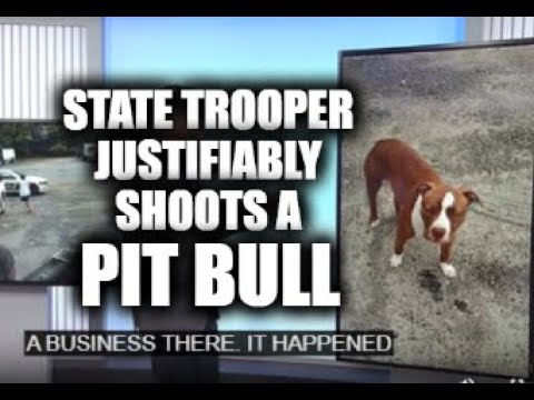 State Trooper Justifiably Shoots A Pit Bull - YouTube