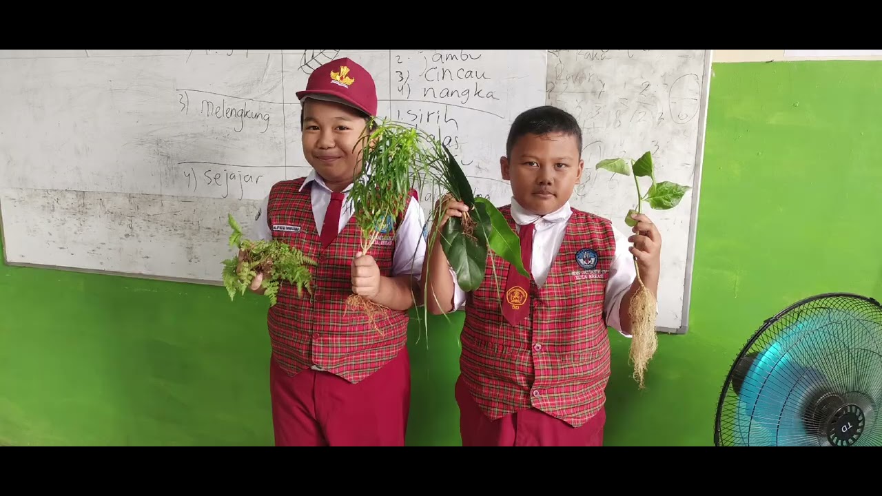 PRAKTEK IPAS KELAS 4D SDN JATIASIH IV " MENGENAL JENIS AKAR DAN JENIS ...