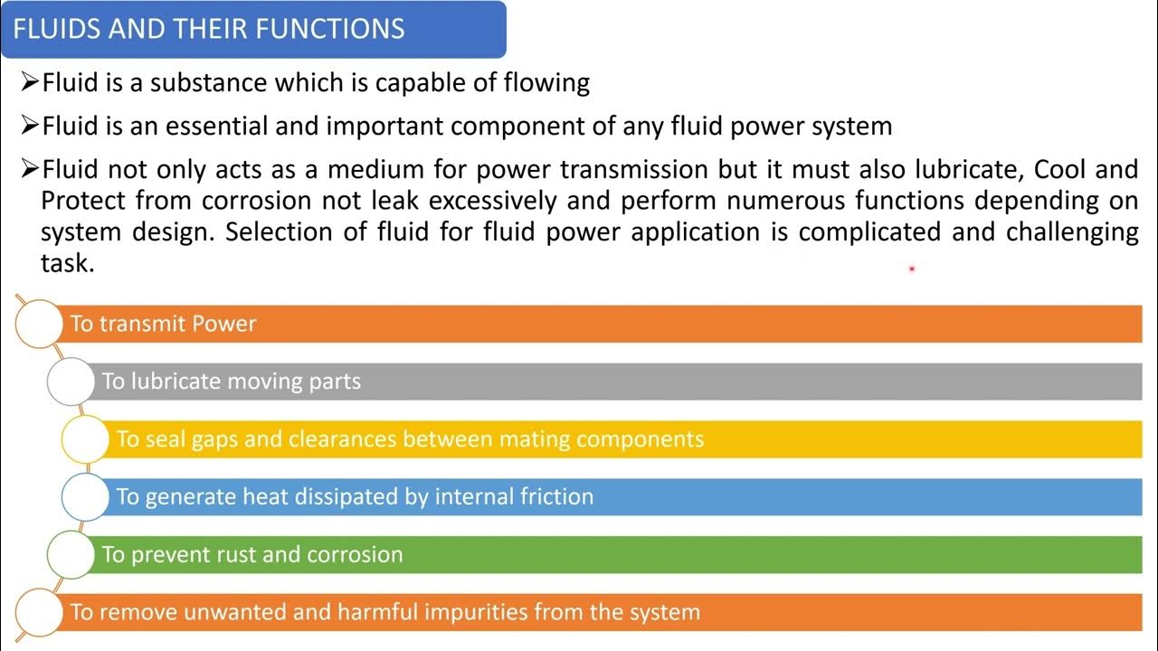Functions of Fluids - YouTube