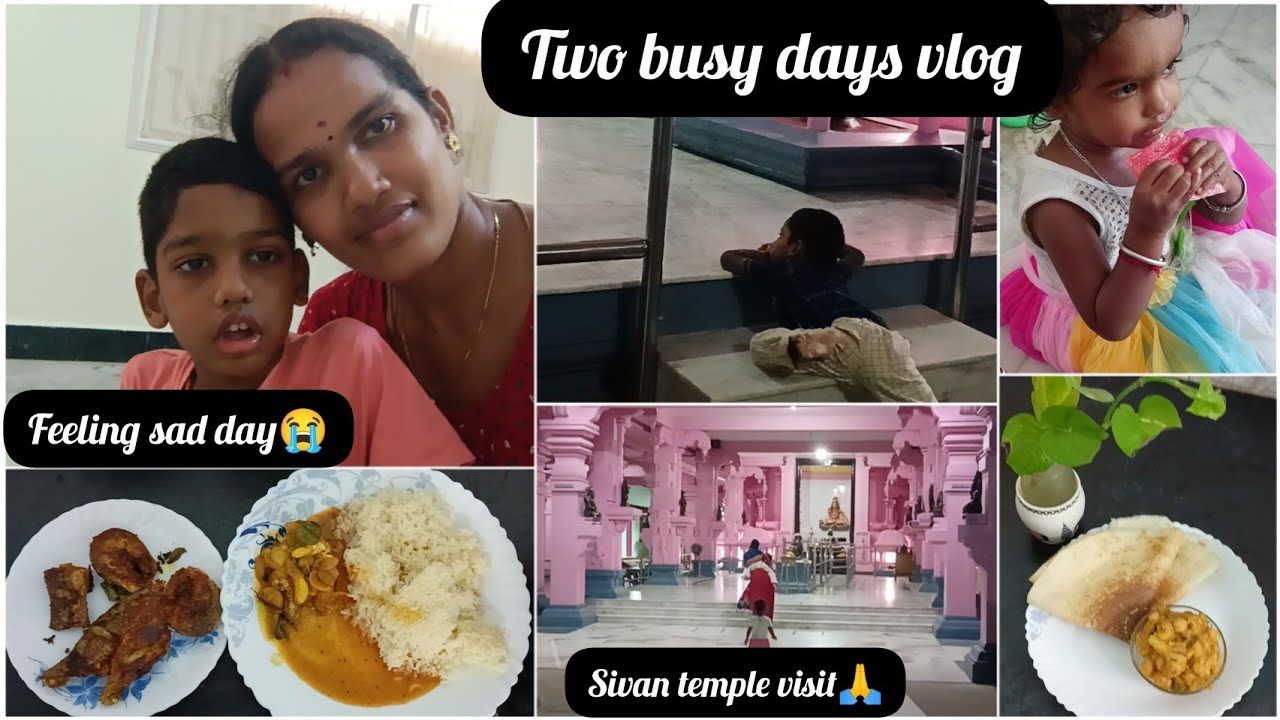 Vlog||💁‍♀️Two busy days routine|மண்சட்டி மீன் குழம்பு and fish fry ...
