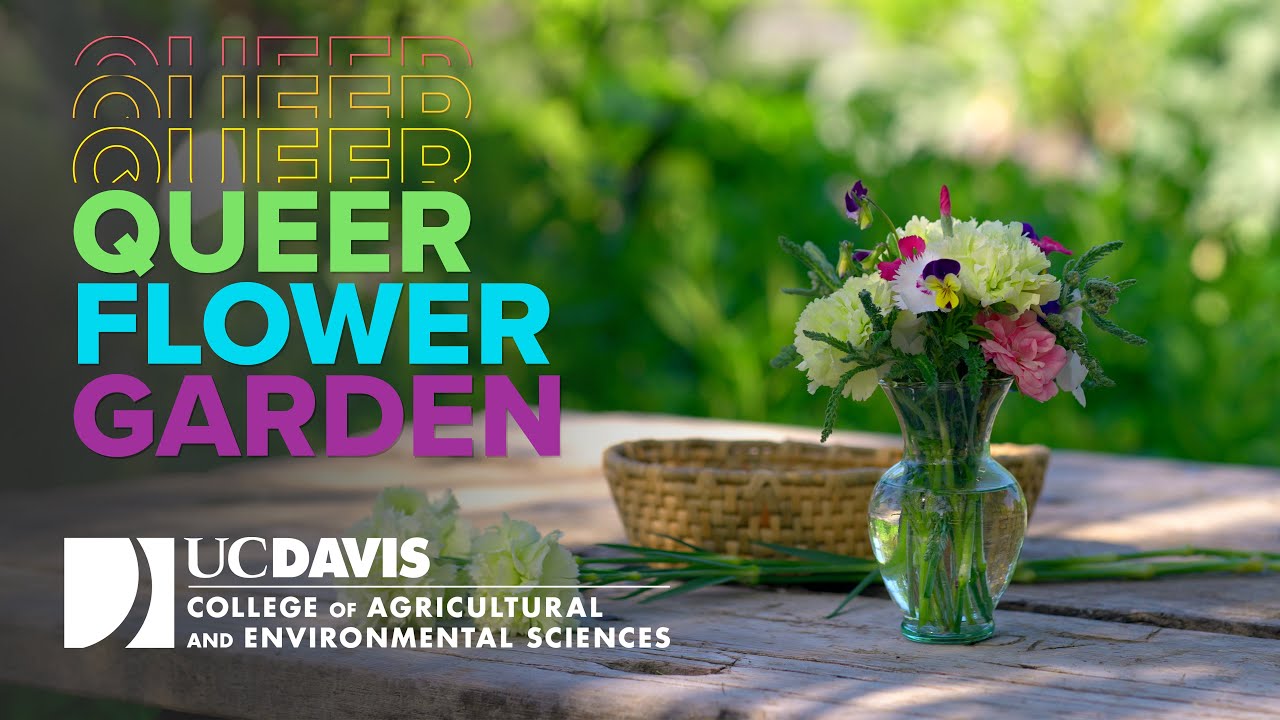 Queer Flower Garden at the UC Davis Student Farm - YouTube