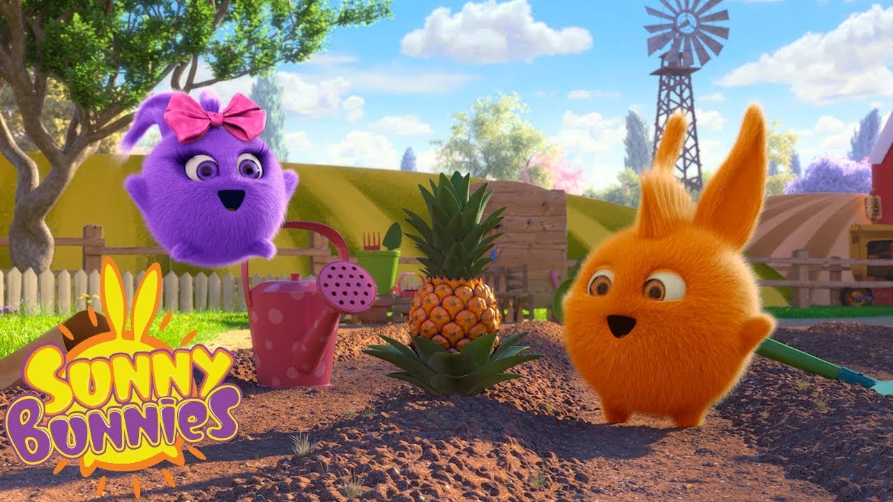 Cartoons for Children | SUNNY BUNNIES - SUNNY FARMING | Funny Cartoons ...