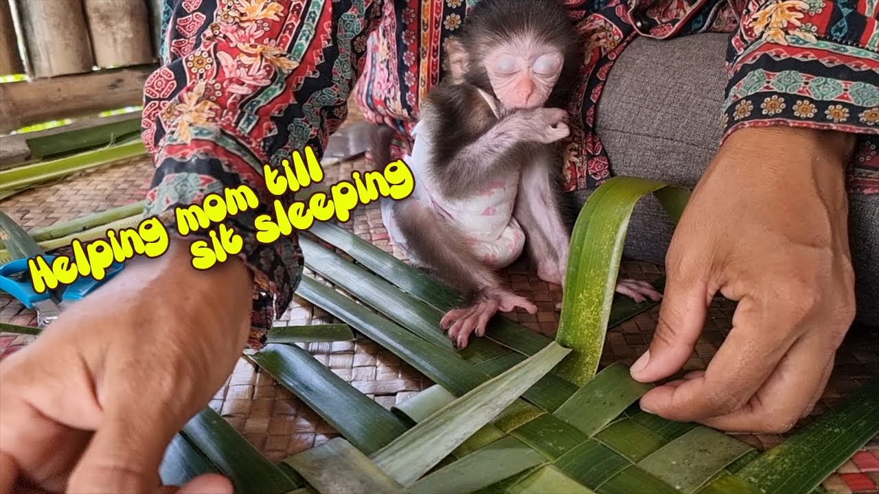 Dum is helping mom while he's so sleepy - YouTube