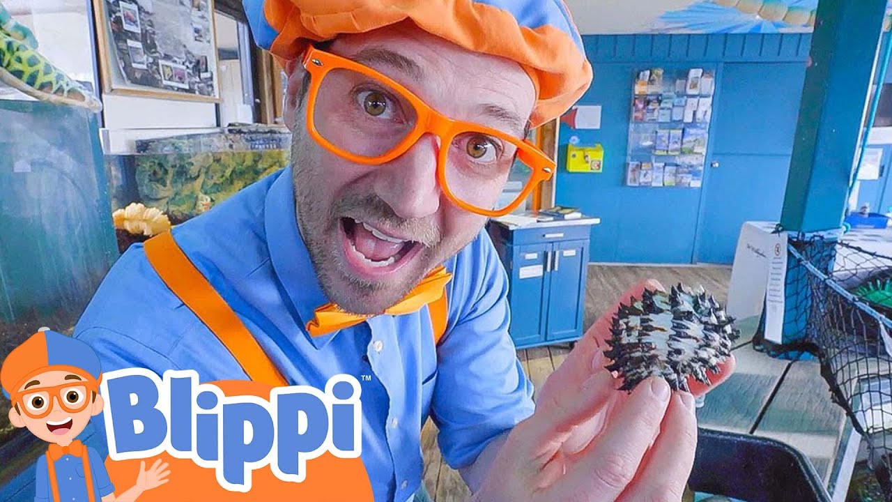 Blippi Learns About Sea Creatures | Life at Sea | Kids Ocean Learning ...