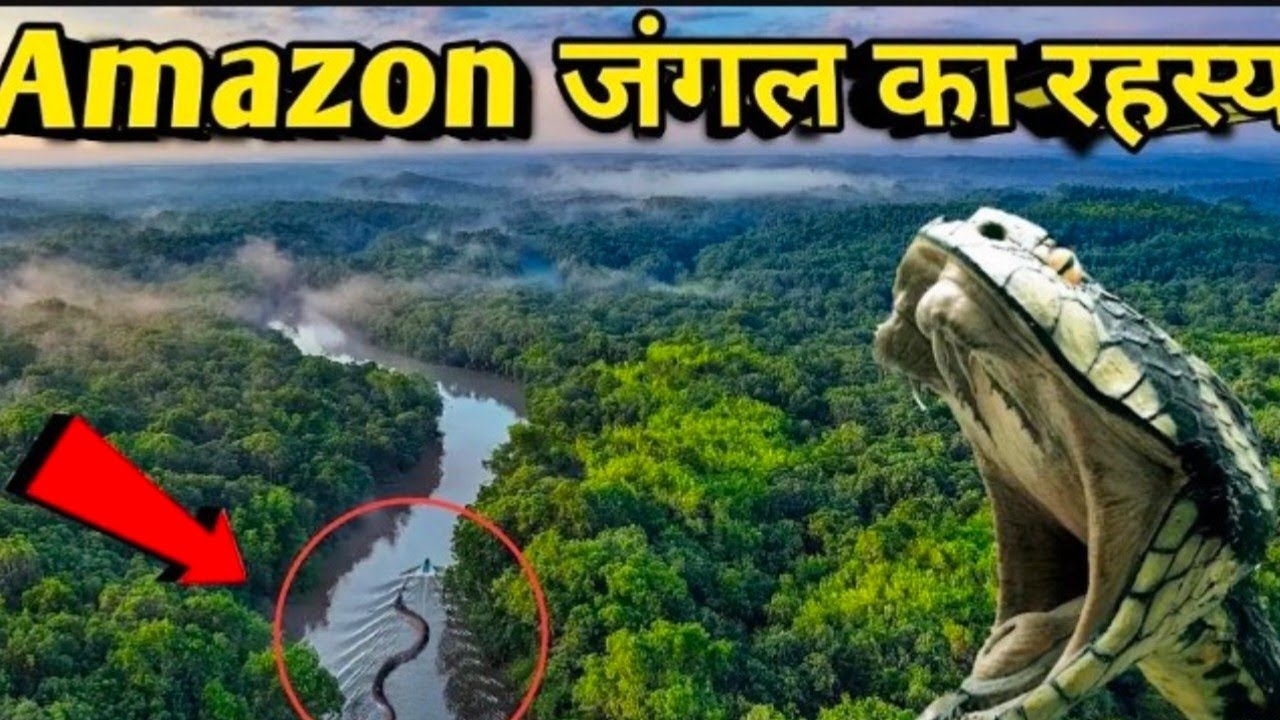 Amazon Jungle Ka Rahasya Hindi Mein | Amazon Rainforest Forest Video ...